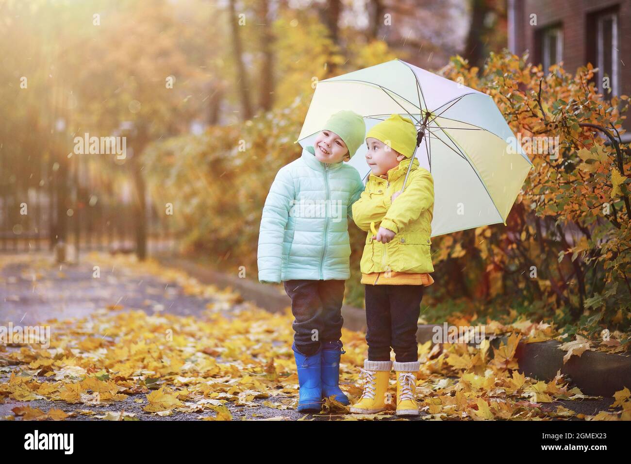 Children walk in the autumn park in the fall Stock Photo - Alamy