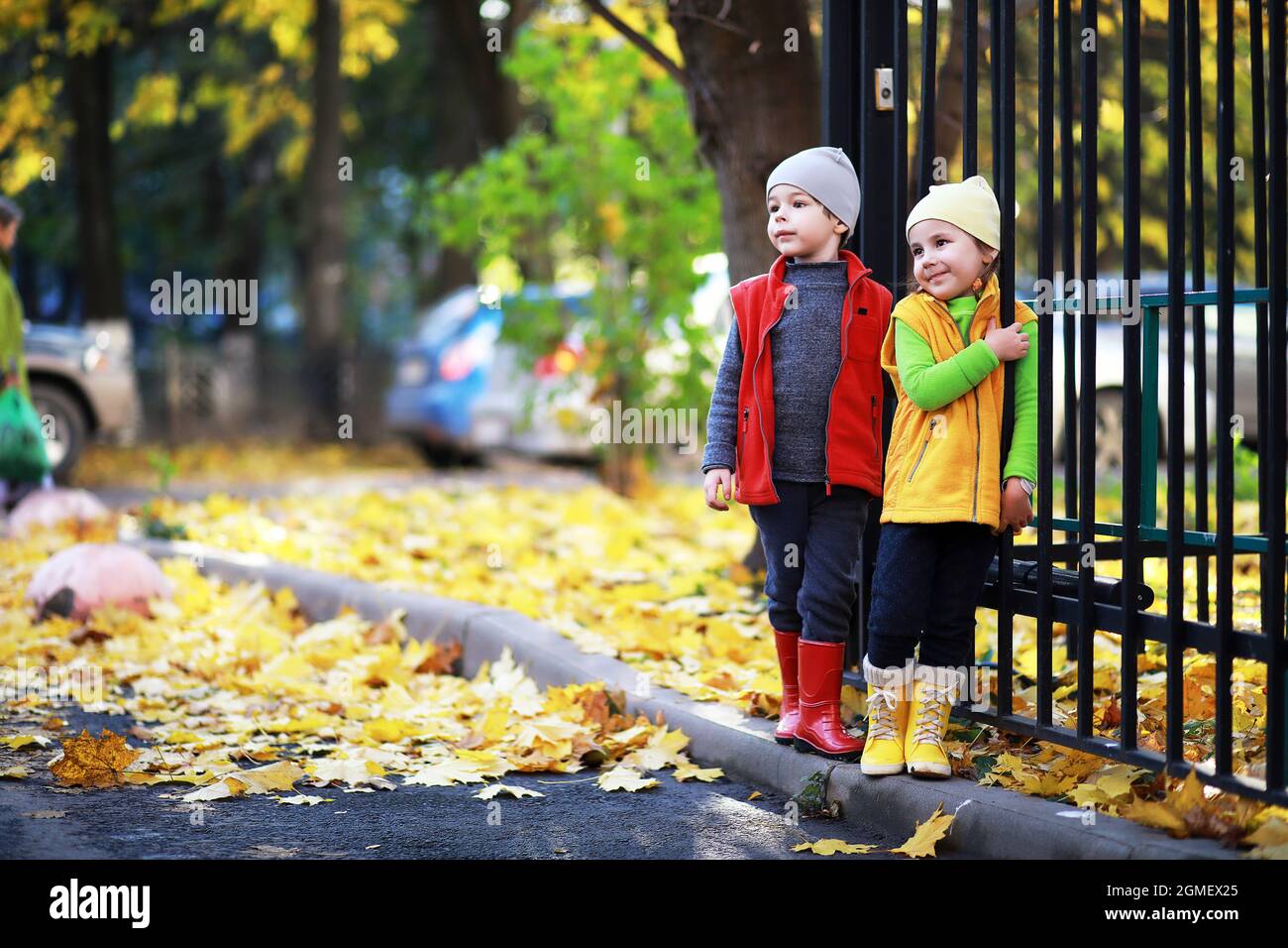 Children walk in the autumn park in the fall Stock Photo - Alamy