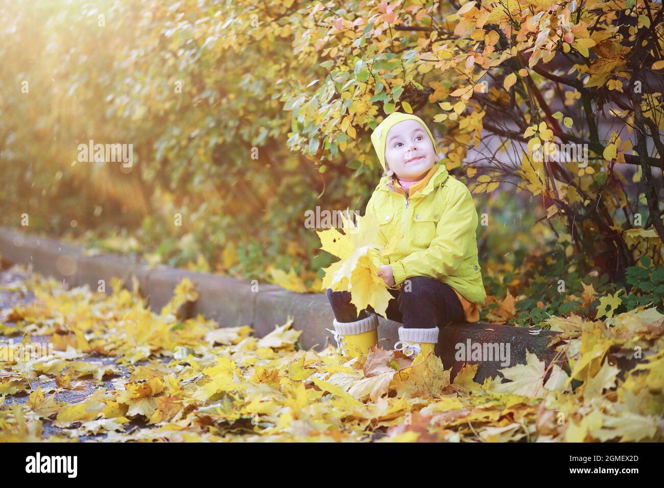Children walk in the autumn park in the fall Stock Photo - Alamy