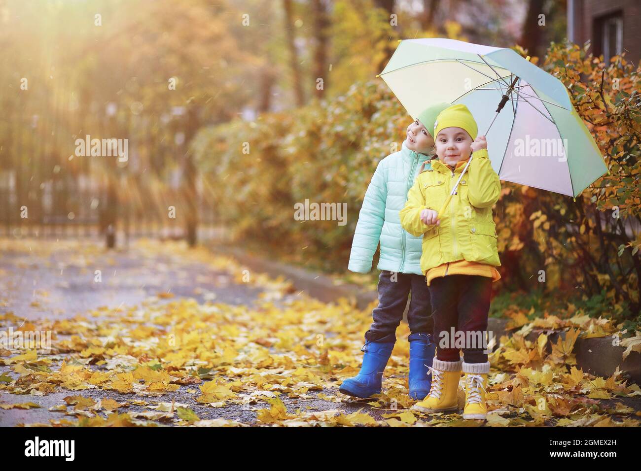 Children walk in the autumn park in the fall Stock Photo - Alamy