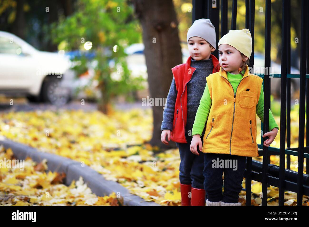 Children walk in the autumn park in the fall Stock Photo - Alamy