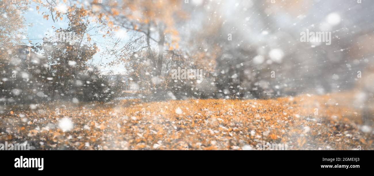 Background autumn park in the days of the first snow Stock Photo - Alamy