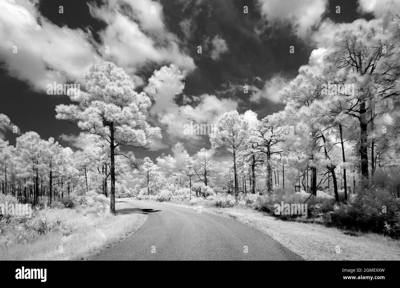 Red lake wildlife management area hi-res stock photography and images ...