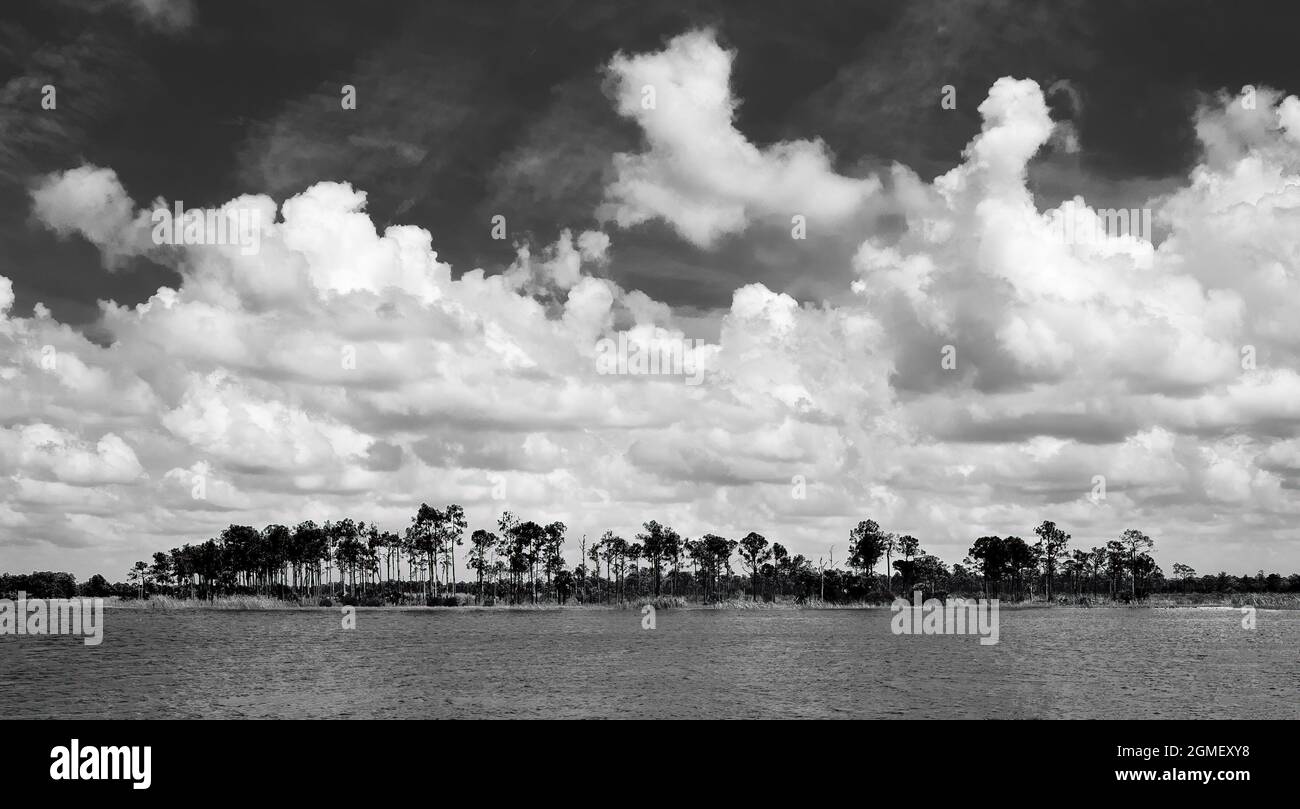 Black and White of Webb Lake in Babcok Webb Wildlife Management Area in ...