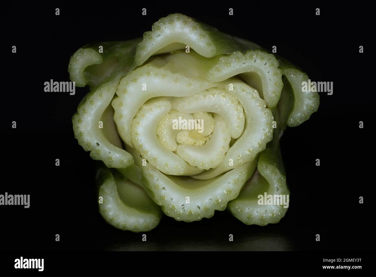 Detail inside celery Stock Photo - Alamy