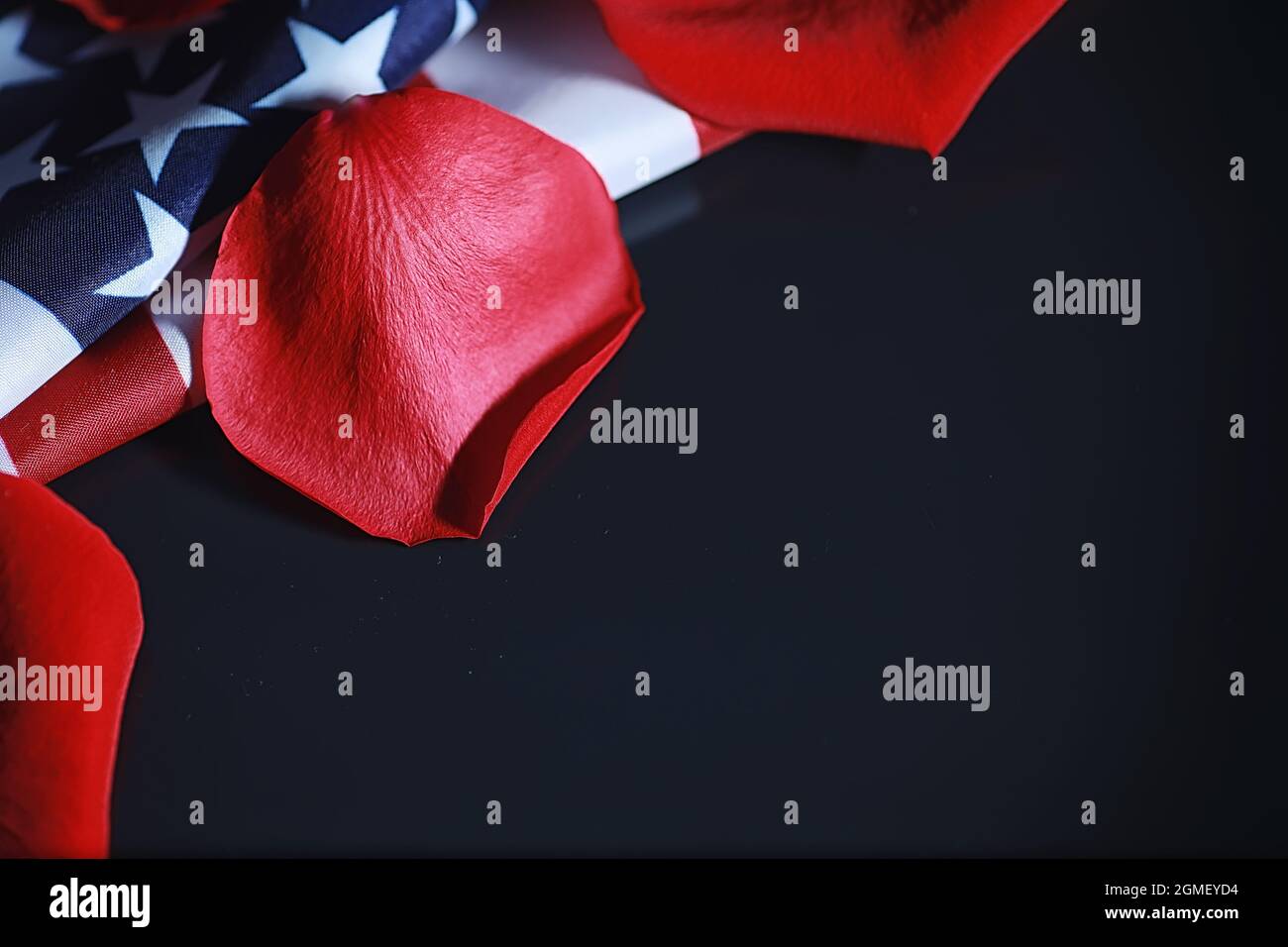 American flag and rose flower on table. Symbol of the United States of ...