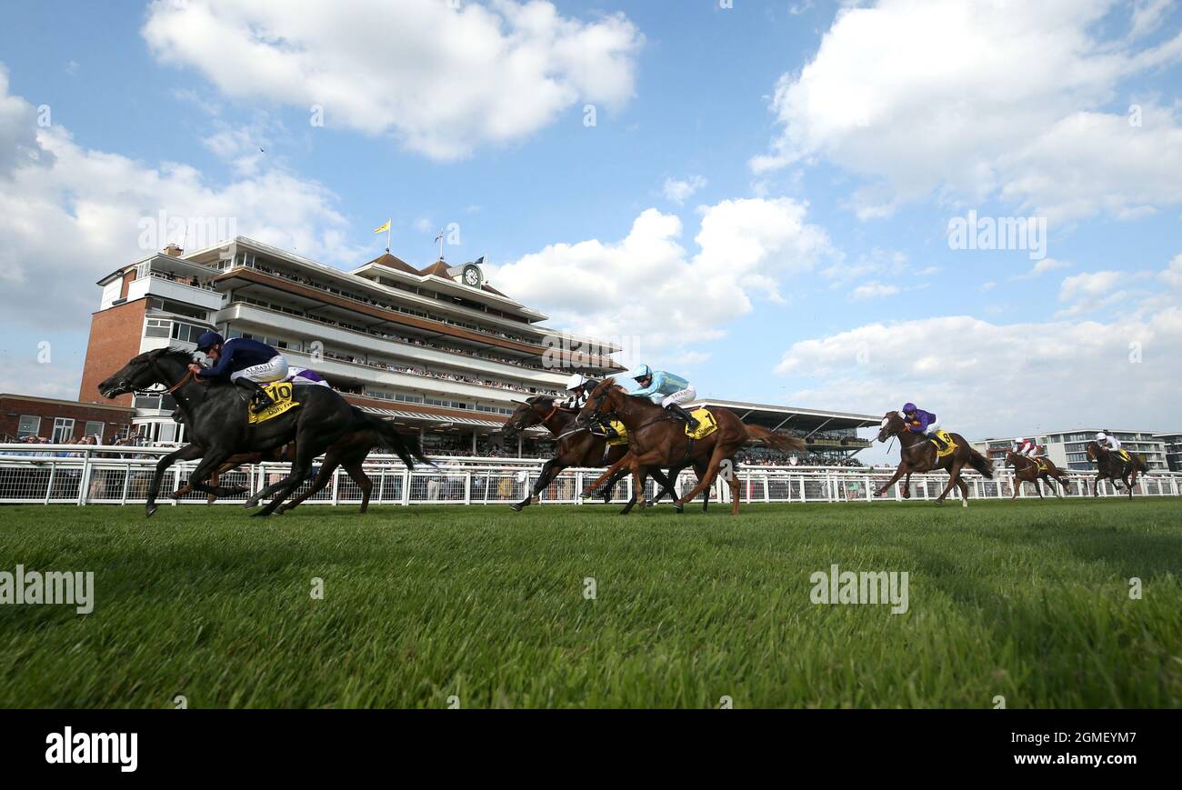 Mill reef horse hi-res stock photography and images - Alamy