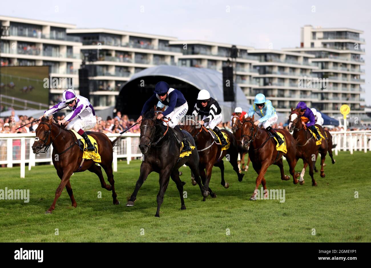 Mill reef horse hi-res stock photography and images - Alamy