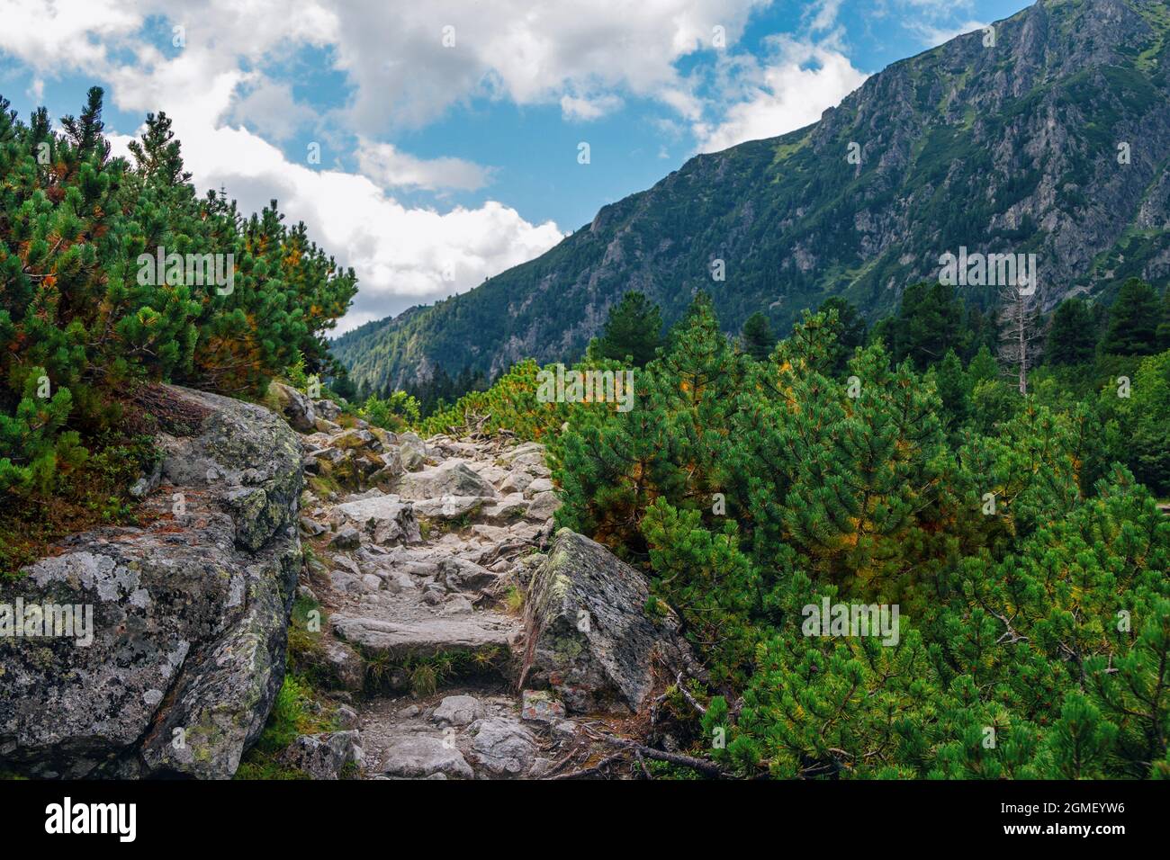 Poprad Mountains High Resolution Stock Photography and Images - Alamy