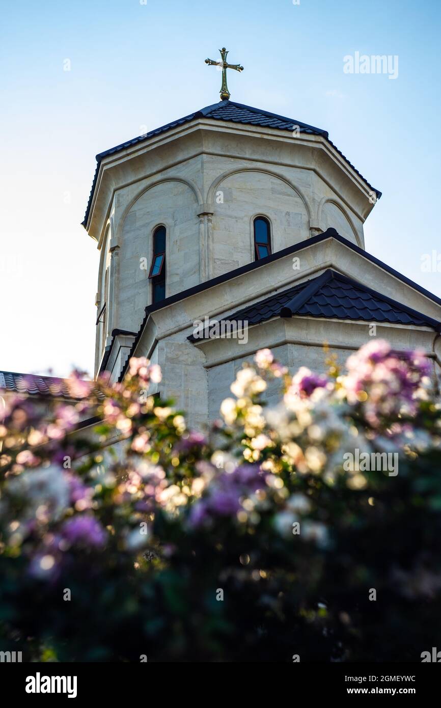 Traditional georgian church architecture on the blooming bush ...
