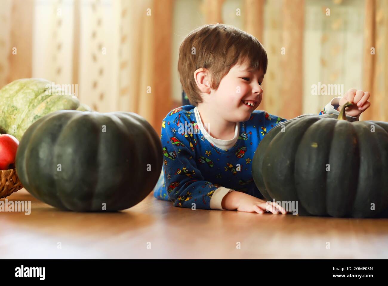Little child choose a pumpkin autumn. Child sitting on giant pumpkin ...