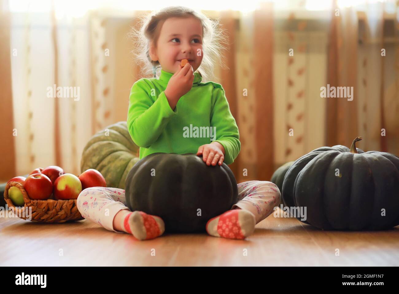 Little child choose a pumpkin autumn. Child sitting on giant pumpkin ...