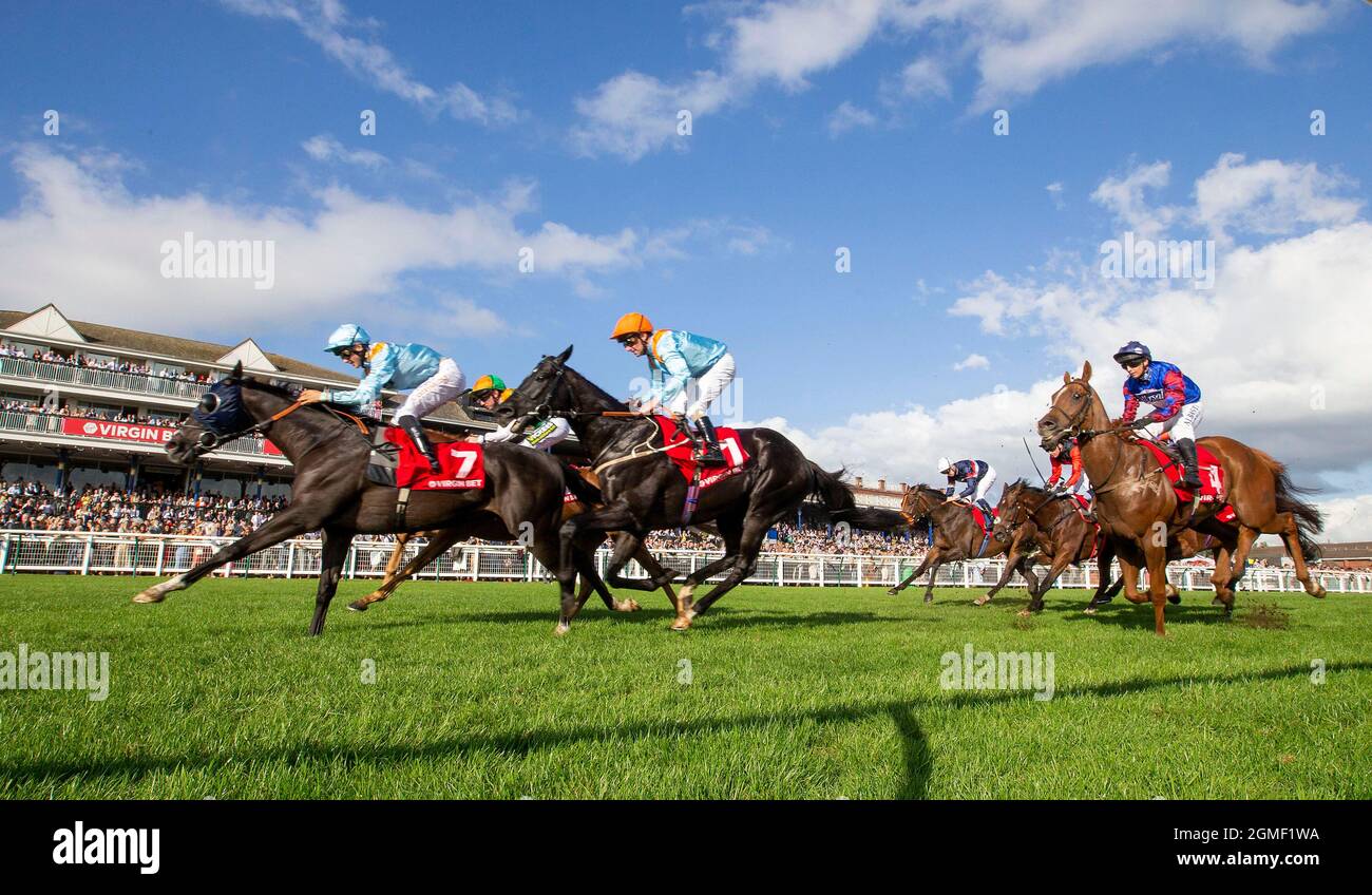 Revich horse hi-res stock photography and images - Alamy