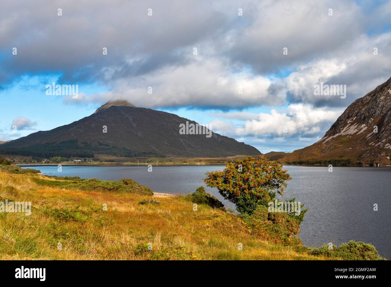 LOCH ALLT CEANN LOCHA SUTHERLAND SCOTLAND ACHFARY BEN STACK A ROWAN ...
