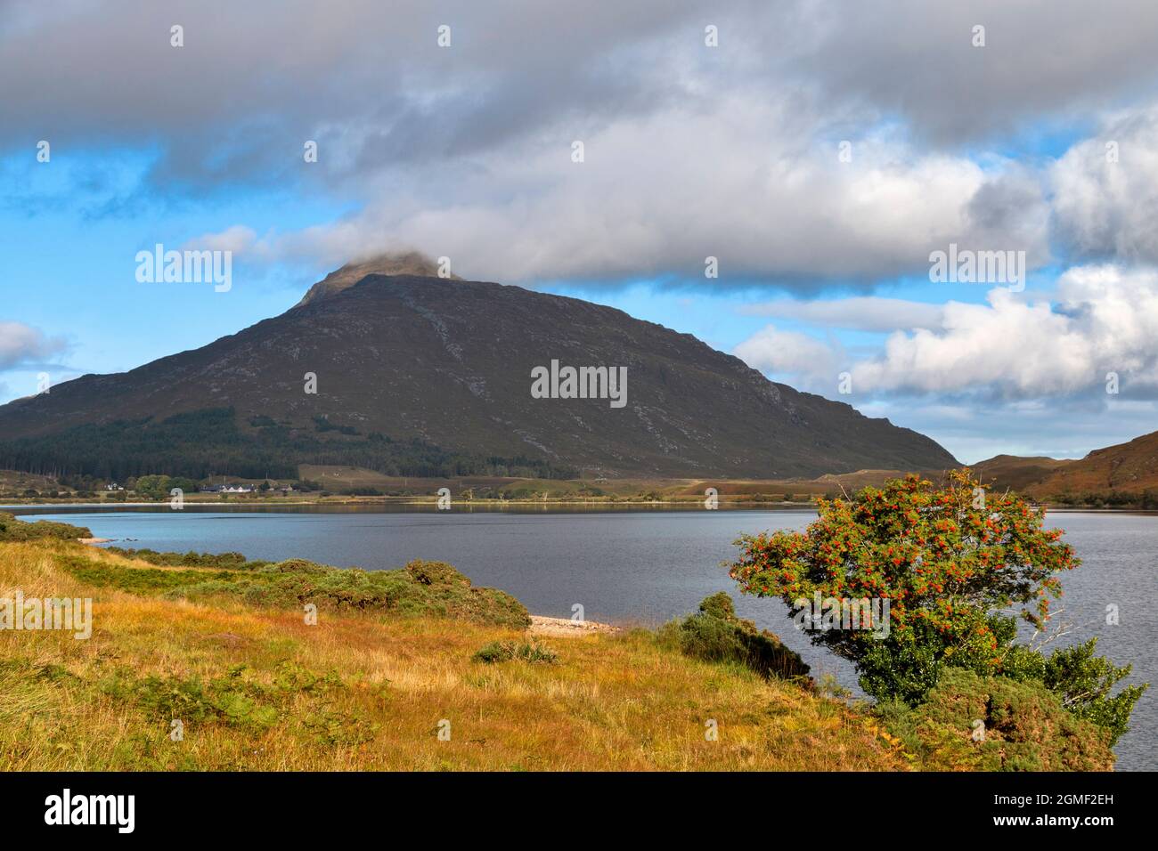 LOCH ALLT CEANN LOCHA SUTHERLAND SCOTLAND ACHFARY BEN STACK ROWAN TREE ...