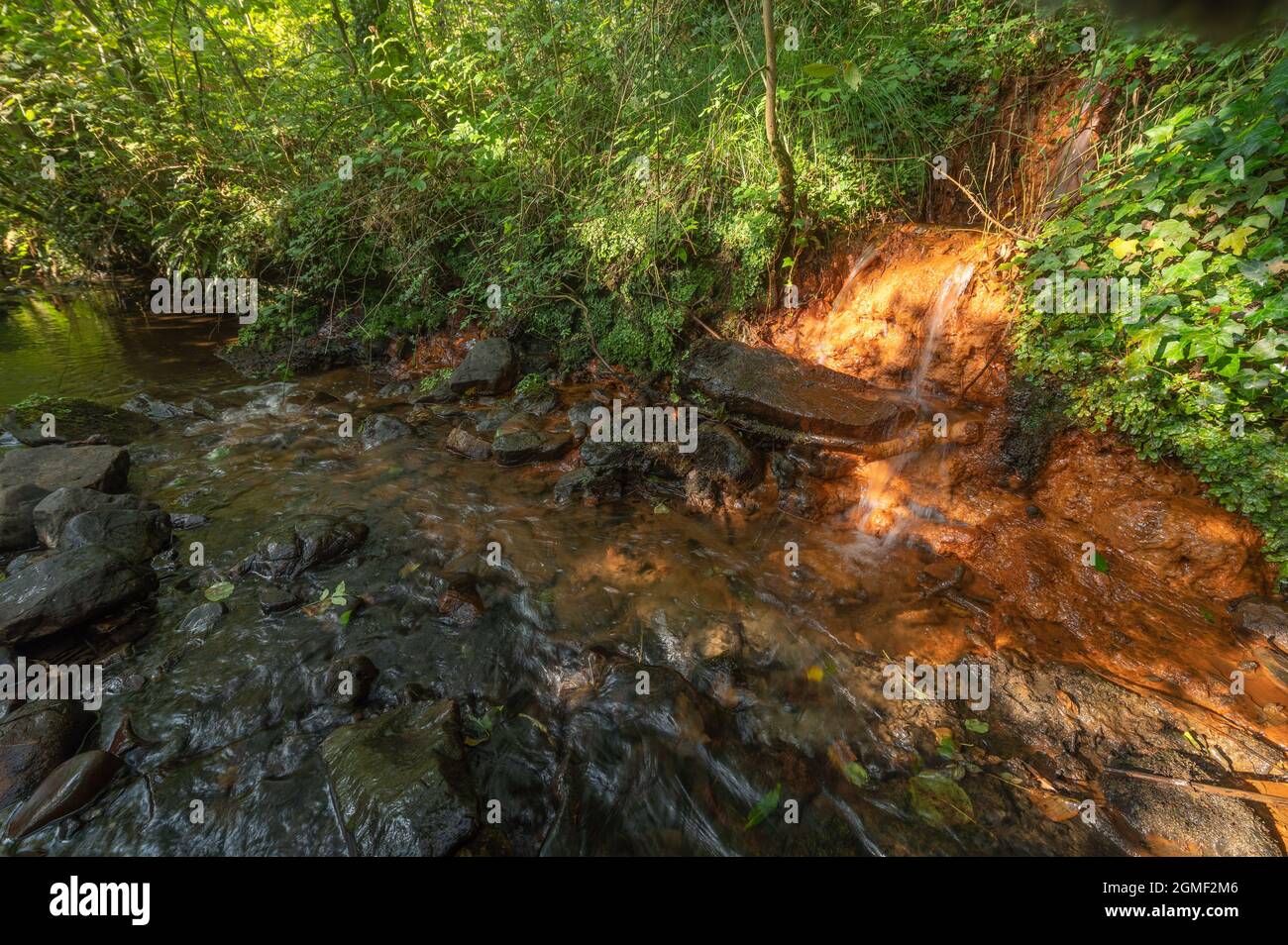 Red iron oxide staining in water course entering the Afon Goch Stock ...