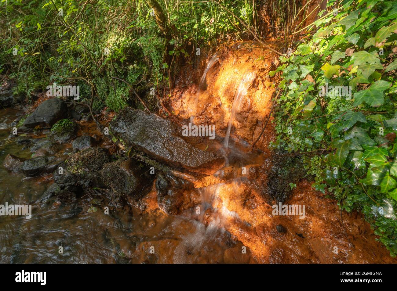 Red iron oxide staining in water course entering the Afon Goch Stock ...