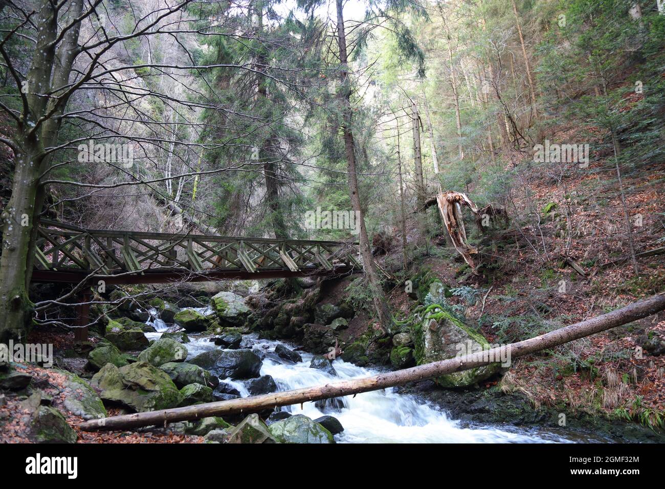 Ravenna Schlucht High Resolution Stock Photography and Images - Alamy