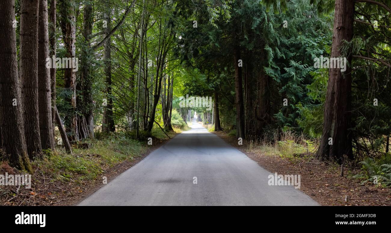 Canadian rainforest hi-res stock photography and images - Alamy
