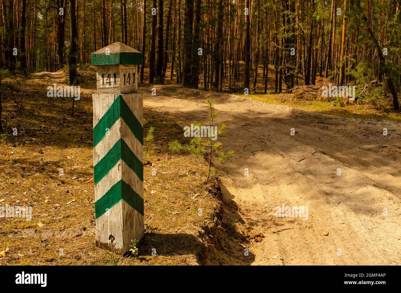 A striped border post in the forest with a plot number. Forest Road ...
