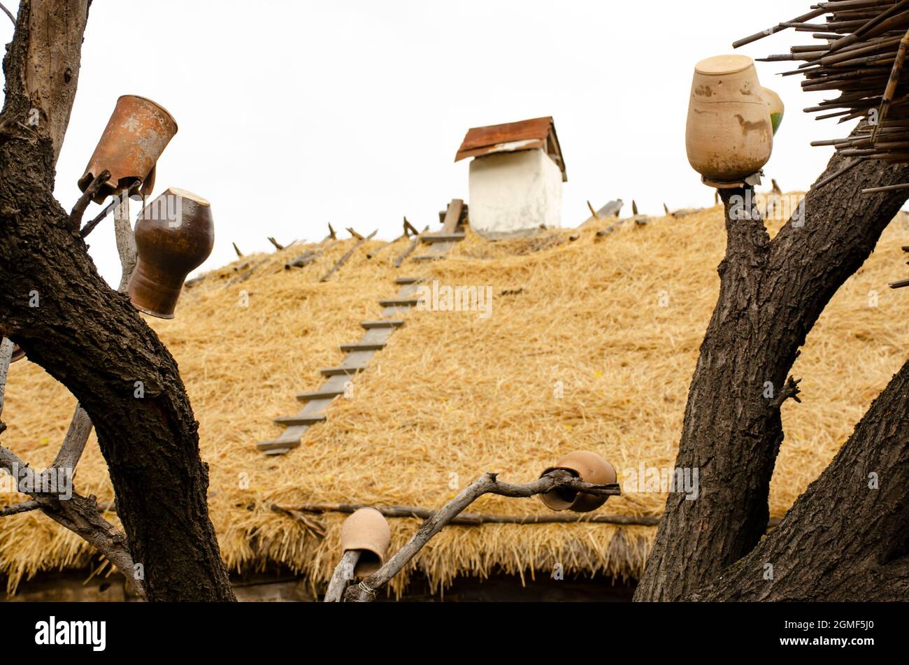 Old wooden ladder on the, covered with straw roof. Wooden staircase to ...