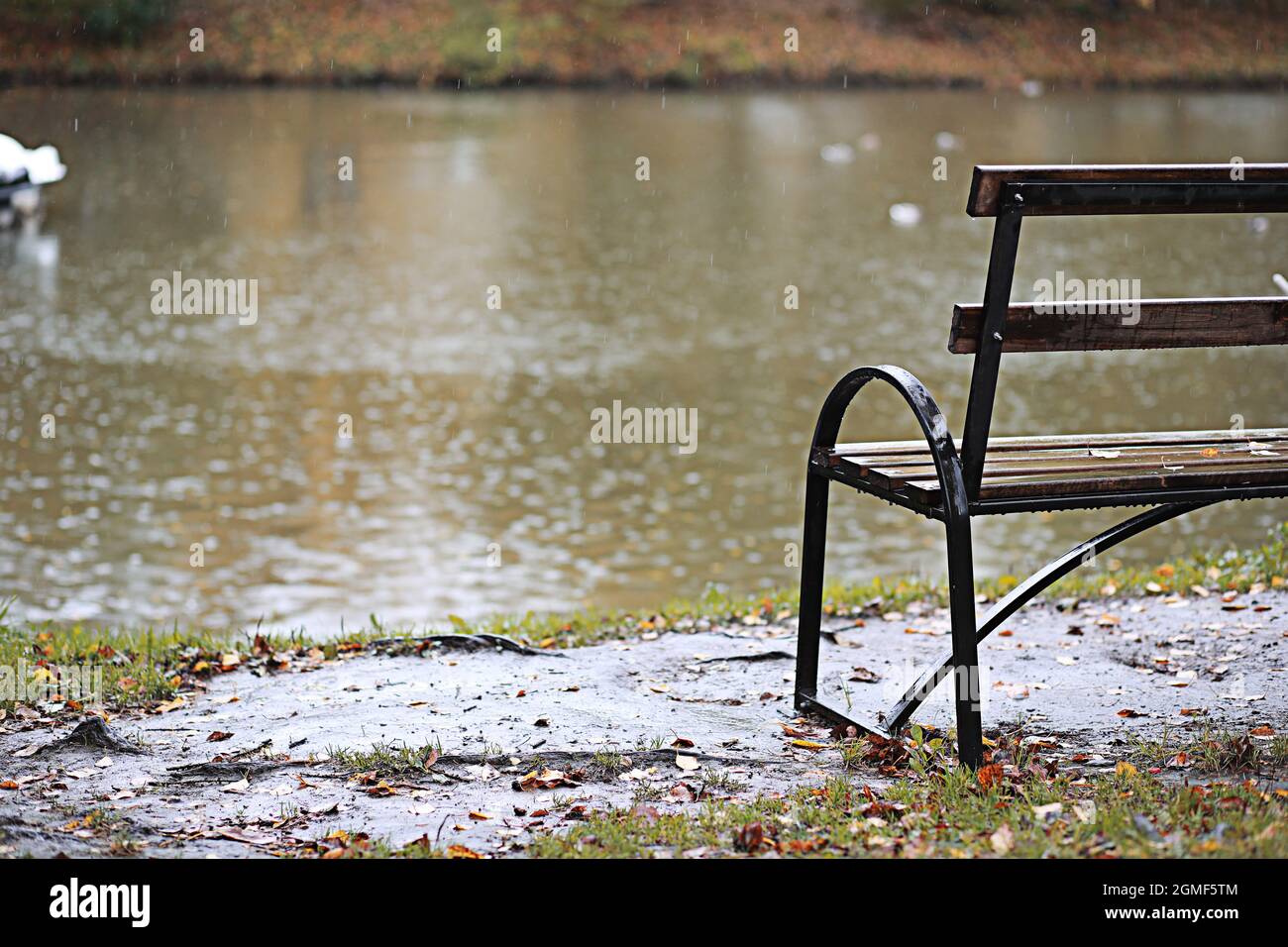 Autumn rain in the park during the day Stock Photo - Alamy