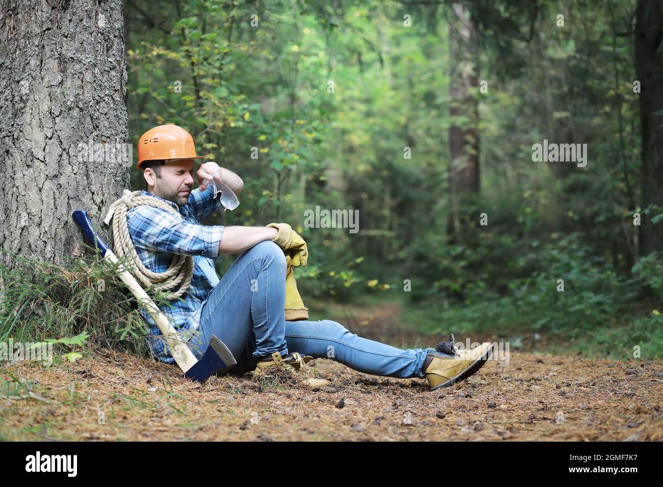 Male lumberjack in the forest. Professional woodcutter inspects trees ...