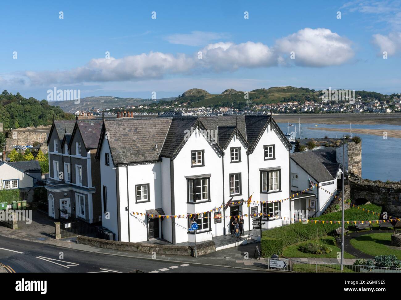 Rose gallery hi-res stock photography and images - Alamy