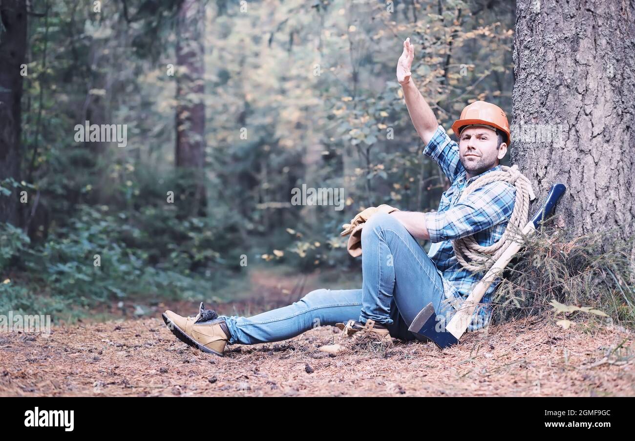 Male lumberjack in the forest. Professional woodcutter inspects trees ...