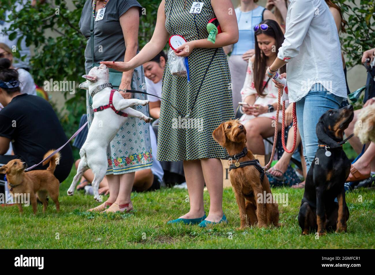London, UK. 18 September 2021. Dogs take part in the dog show at the ...