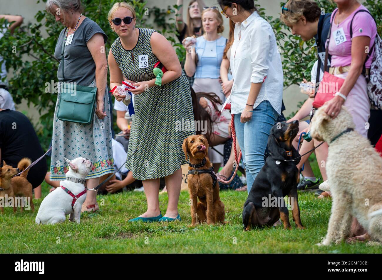 Village fete dog show hi-res stock photography and images - Alamy