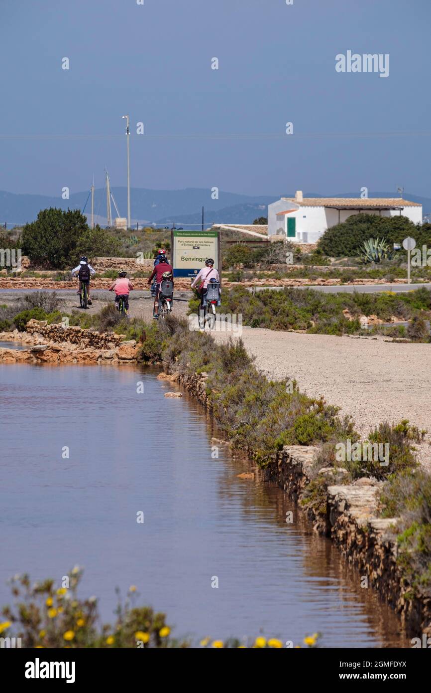 family bike ride, La Savina, Formentera, Pitiusas Islands, Balearic ...