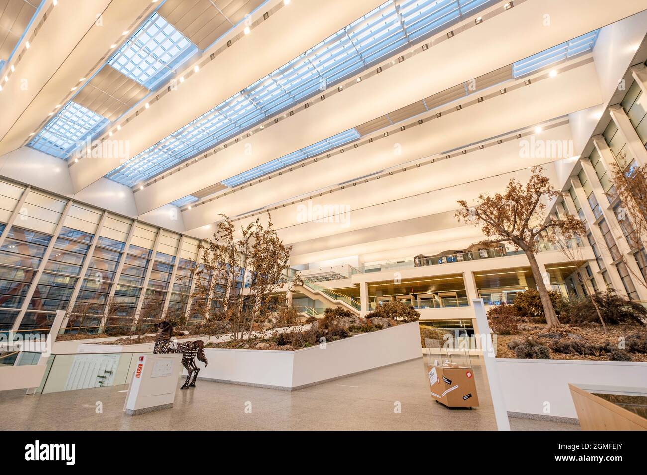 Museo de la evolución humana, MEH, Burgos , Spain Stock Photo - Alamy