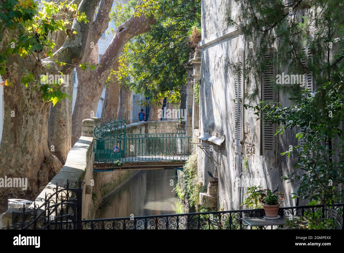 Plane trees provence hi-res stock photography and images - Alamy
