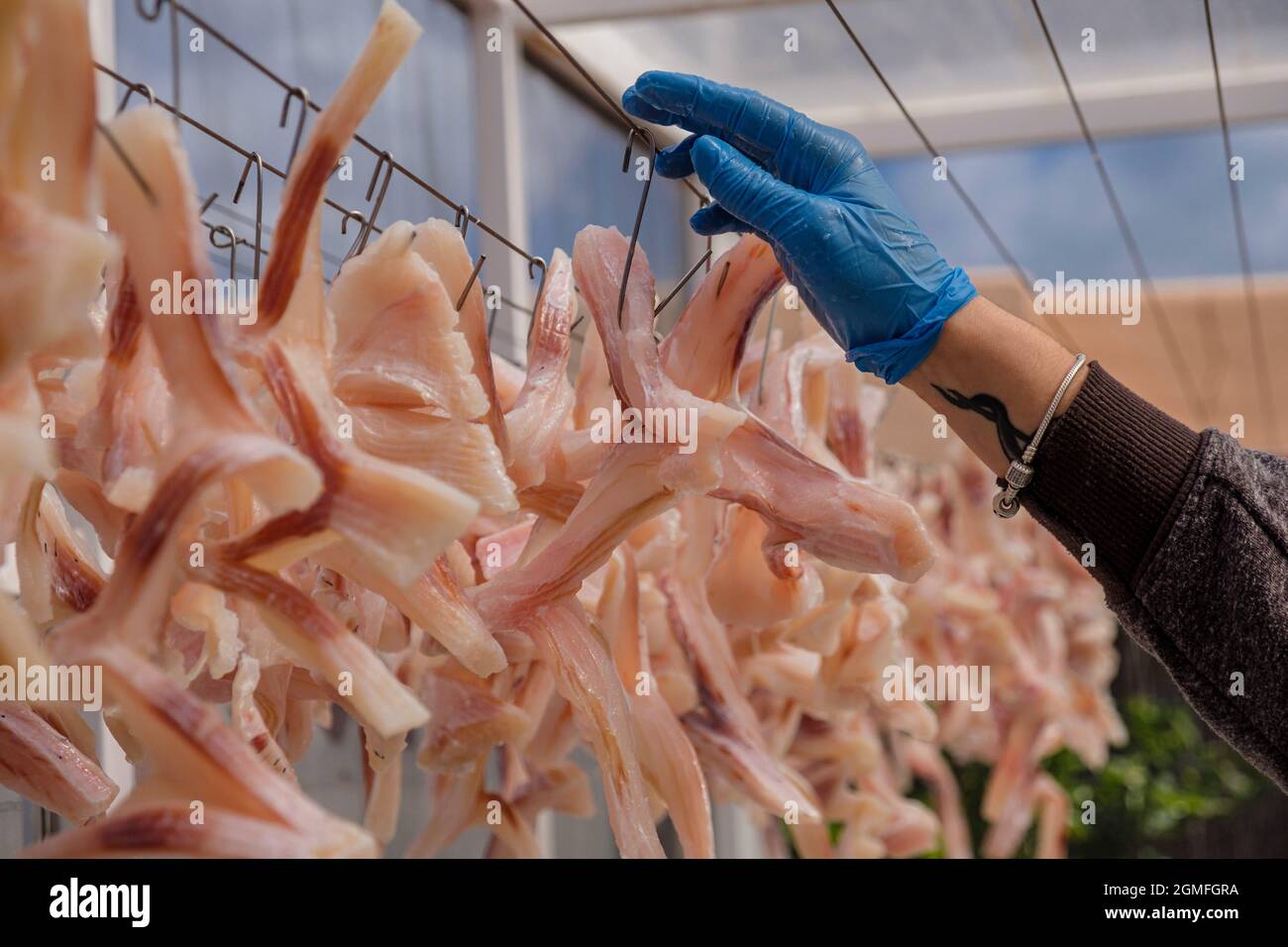 elaboration of dried fish, Formentera, Pitiusas Islands, Balearic ...