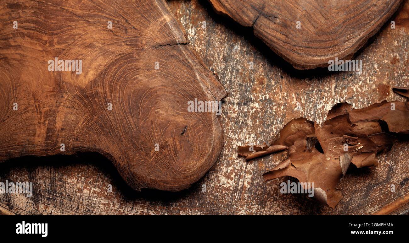 Solid oak cutting board and pine tree bark on rust metal background ...