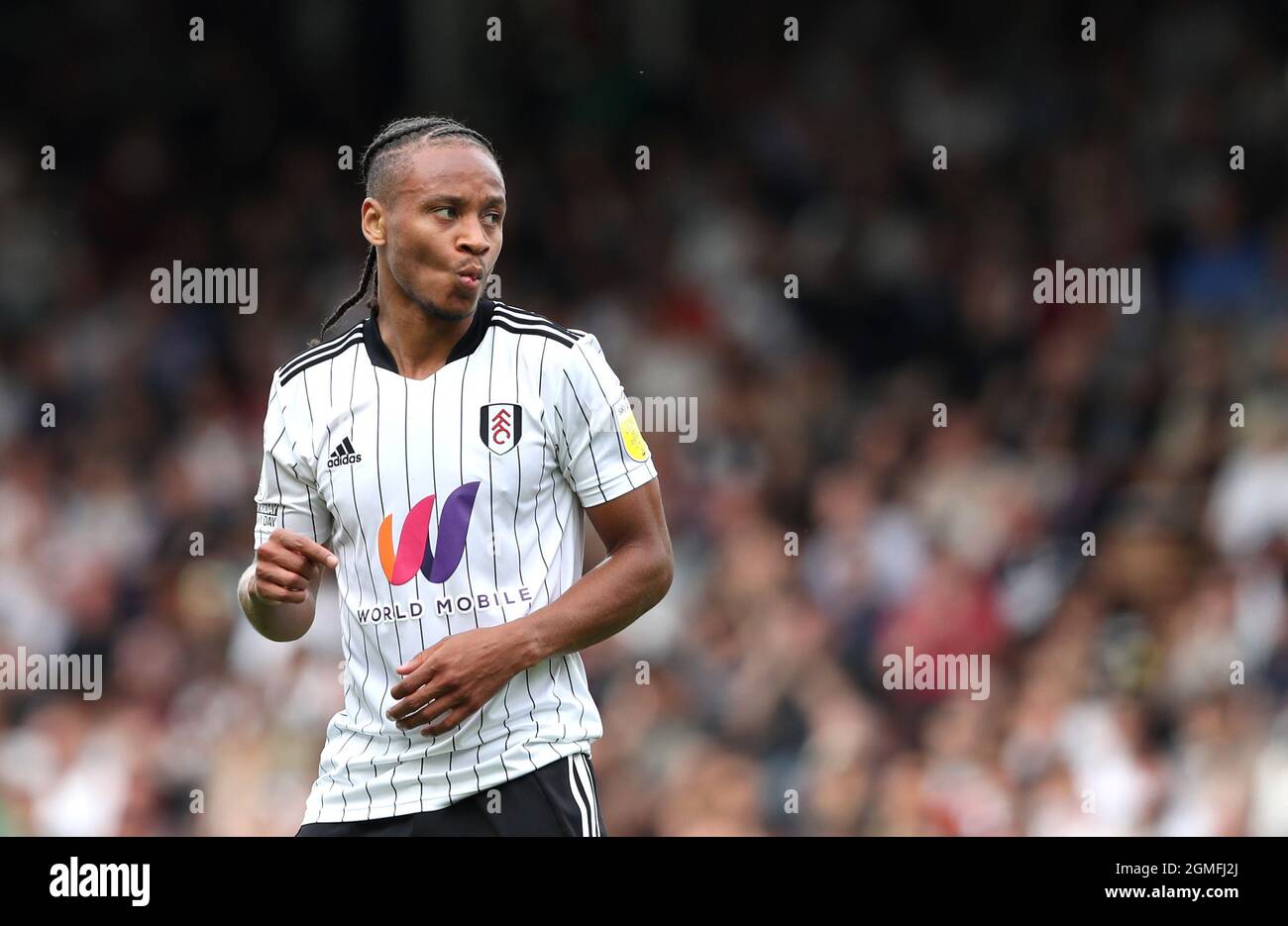 Fulham's Bobby Reid during the Sky Bet Championship match at Craven ...