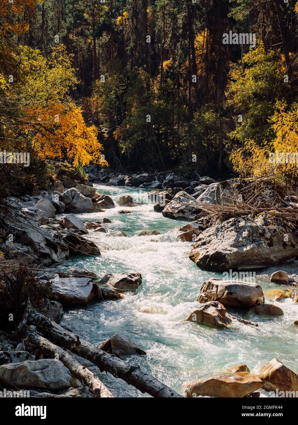 Mountain river in wild forest. High mountain landscape with river Stock ...