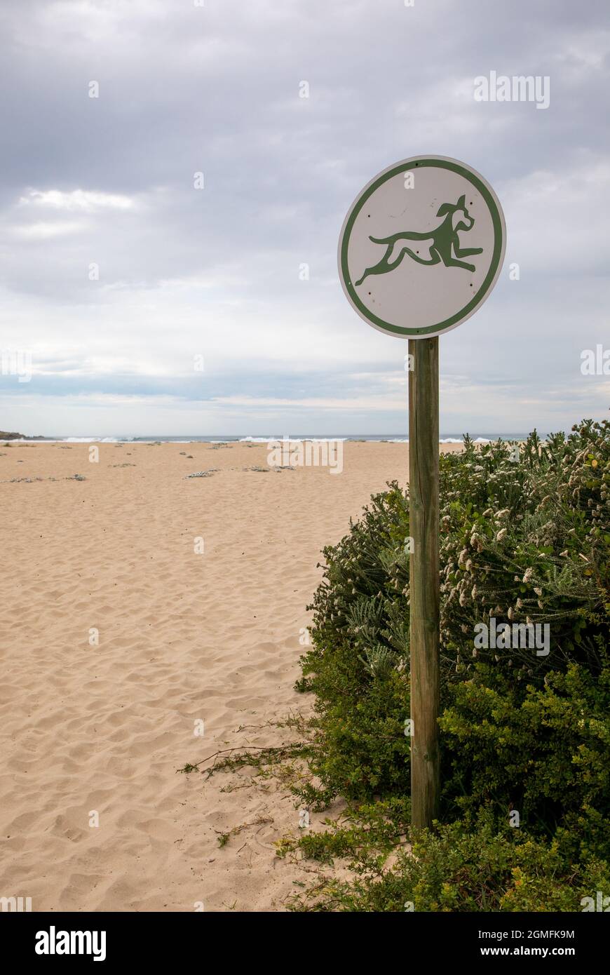 Sign indicating that dogs are allowed on the beach with the beach in ...