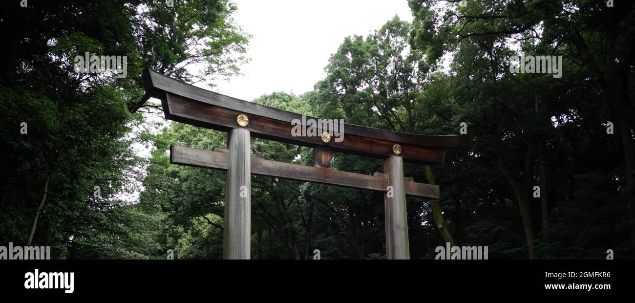 Torii gate at Meiji Shrine Stock Photo - Alamy