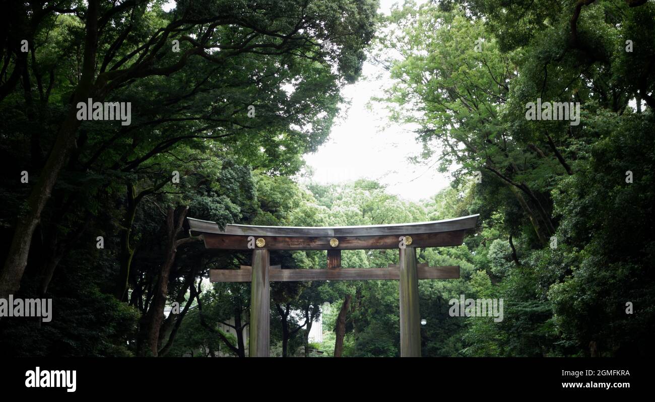 Torii gate at Meiji Shrine Stock Photo - Alamy