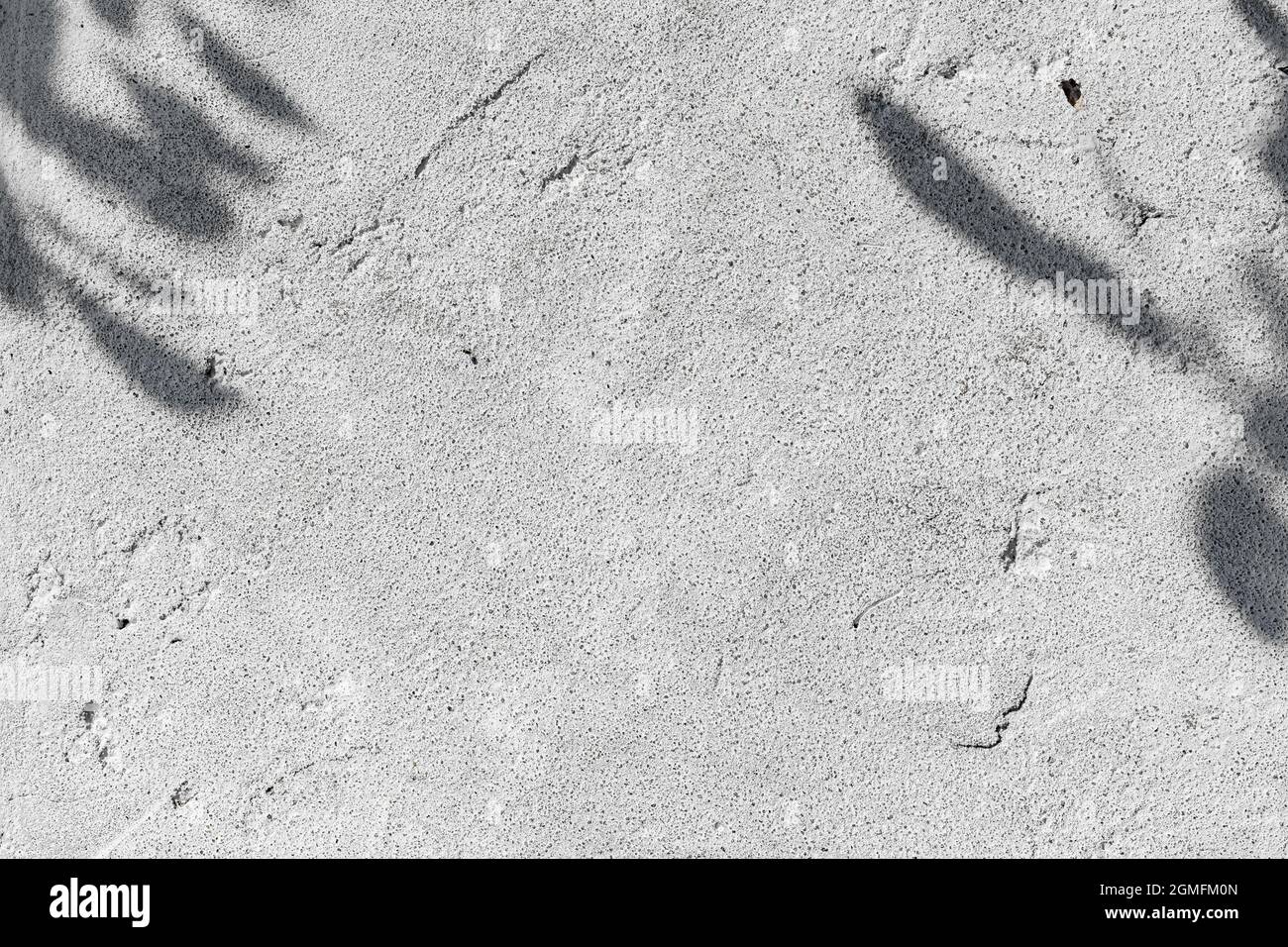 Tree shade over rough concrete wall. Shadow of a tree branch on a ...