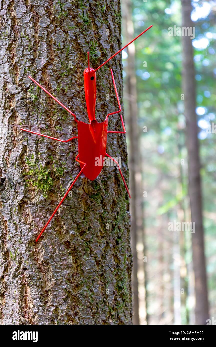 50 bright red bugs hi-res stock photography and images - Alamy