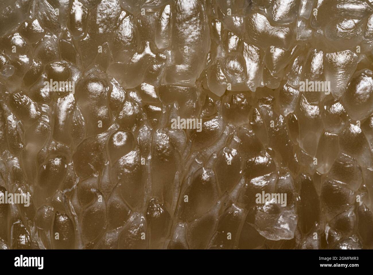 Citrus fruit peeled. The inside of the fruit in close-up. An abstract ...