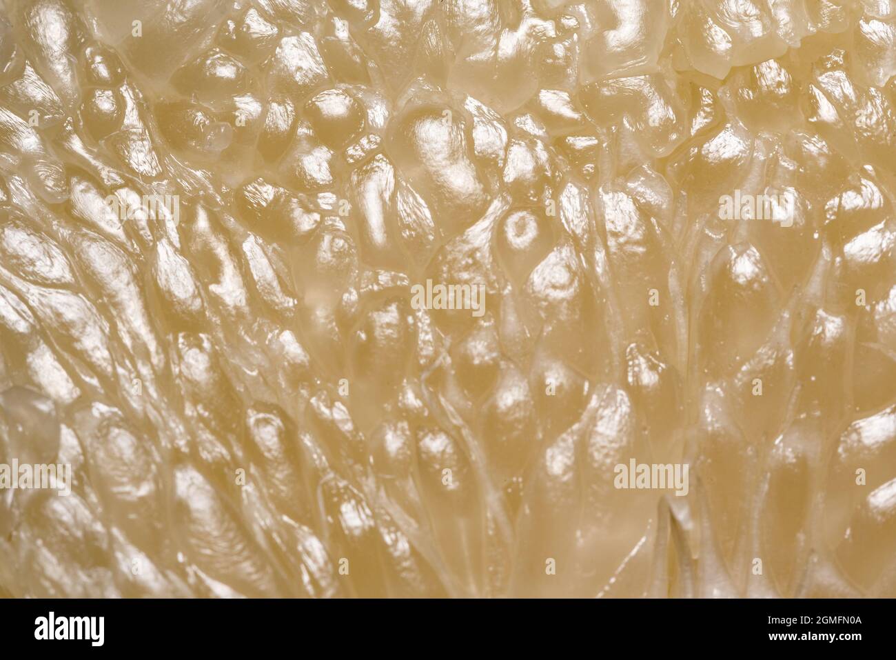 Citrus fruit peeled. The inside of the fruit in close-up. An abstract ...