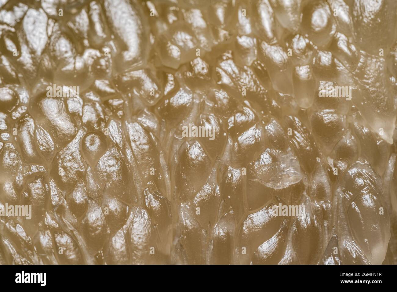 Citrus fruit peeled. The inside of the fruit in close-up. An abstract ...