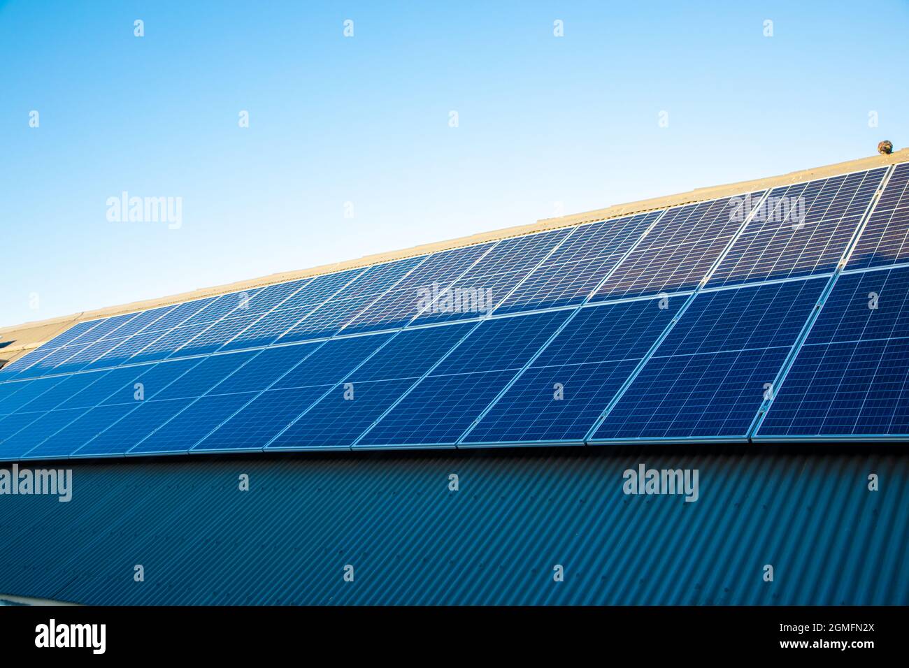 Wide shot of two rows of solar panels on a roof. Half of the panels are ...