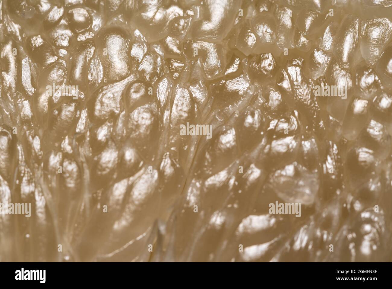 Citrus fruit peeled. The inside of the fruit in close-up. An abstract ...