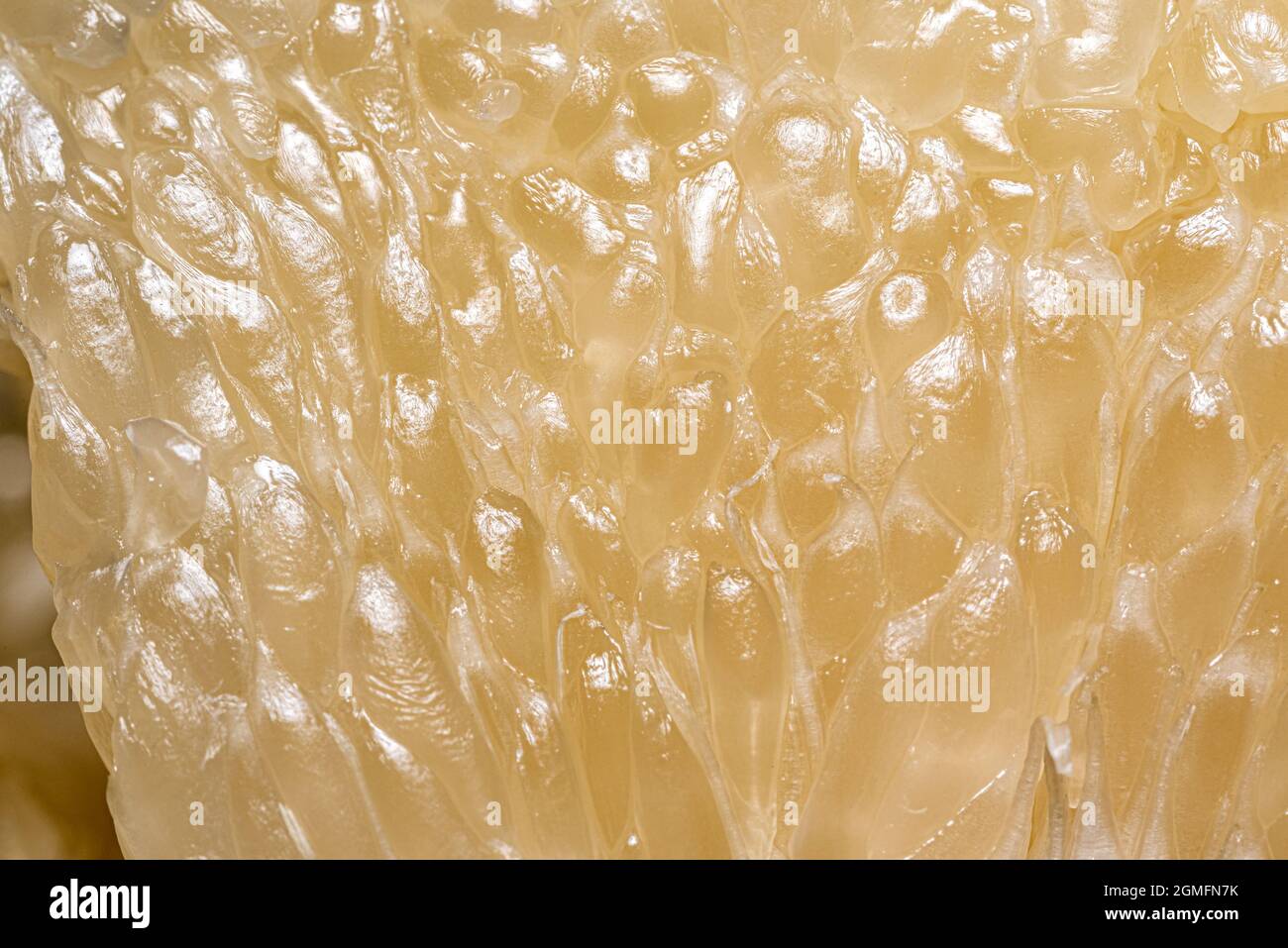 Citrus fruit peeled. The inside of the fruit in close-up. An abstract ...