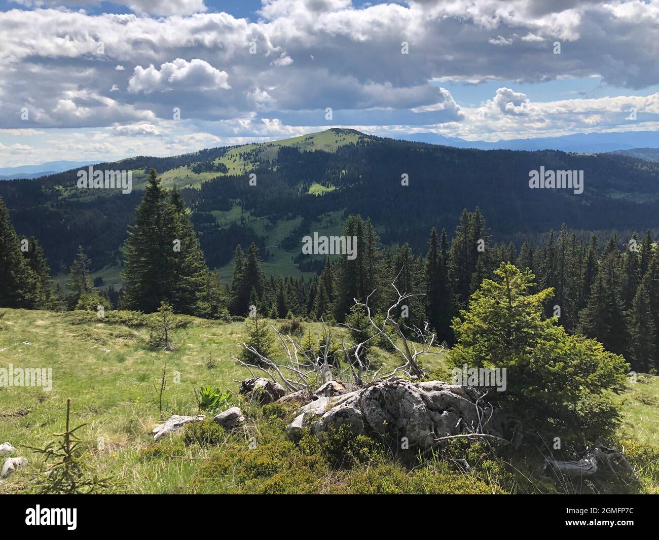 Ljubisnja mountain hi-res stock photography and images - Alamy